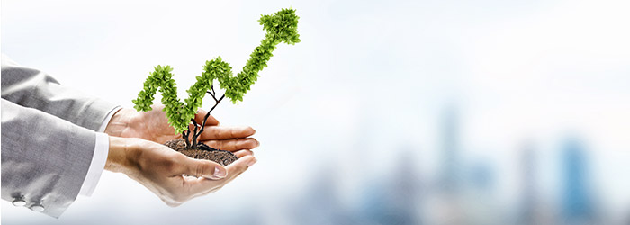 Driving Leadership Performance with a Leadership Retreat - Leap Solutions